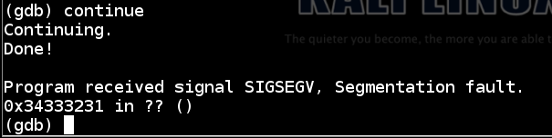 Linux Buffer Overflow 4812