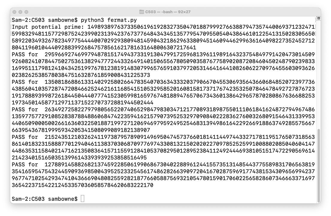 C 503 Finding Large Primes c-503-finding-large-primes